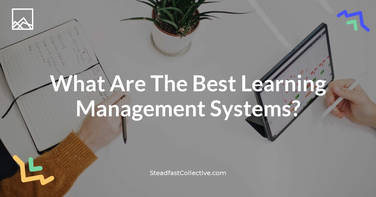 What Are The Best Learning Management Systems? | Steadfast Collective